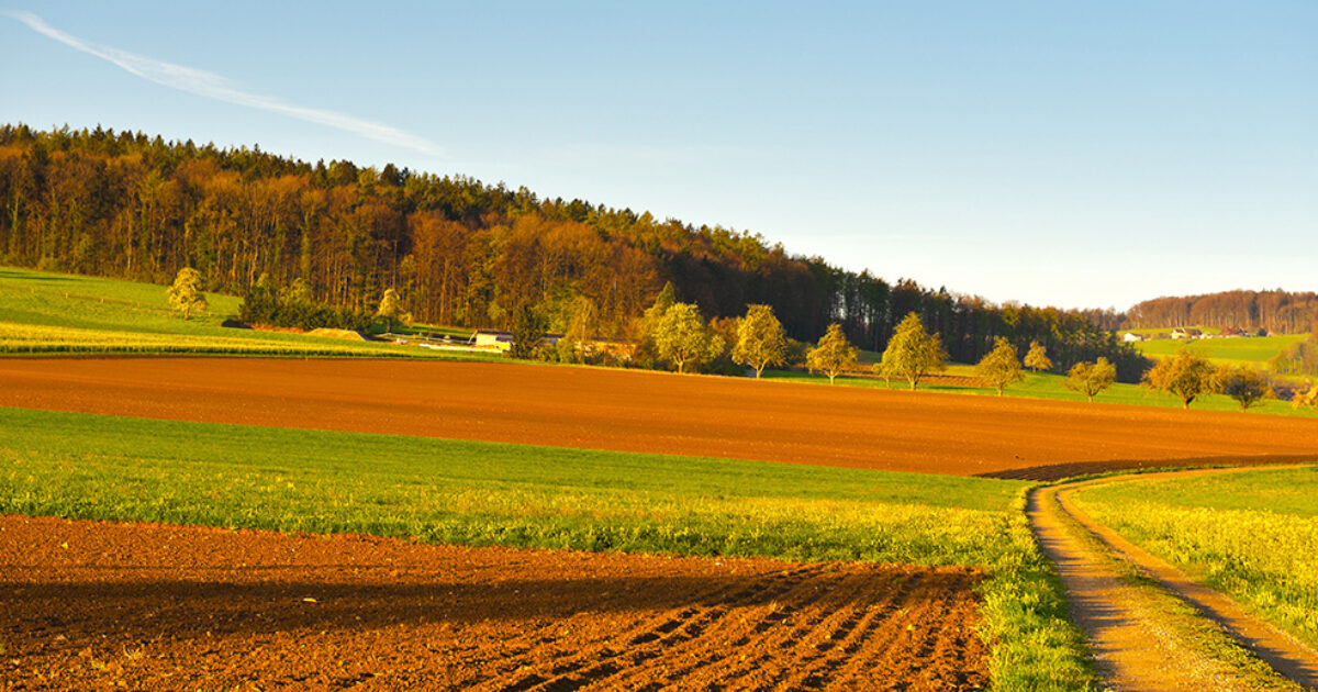 Skalar | Automatic particle size distribution (LUTUM) analysis in soil