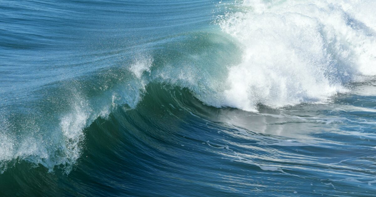 Skalar San++ Analyzer for Sea Water Analysis - Optimum… | Skalar