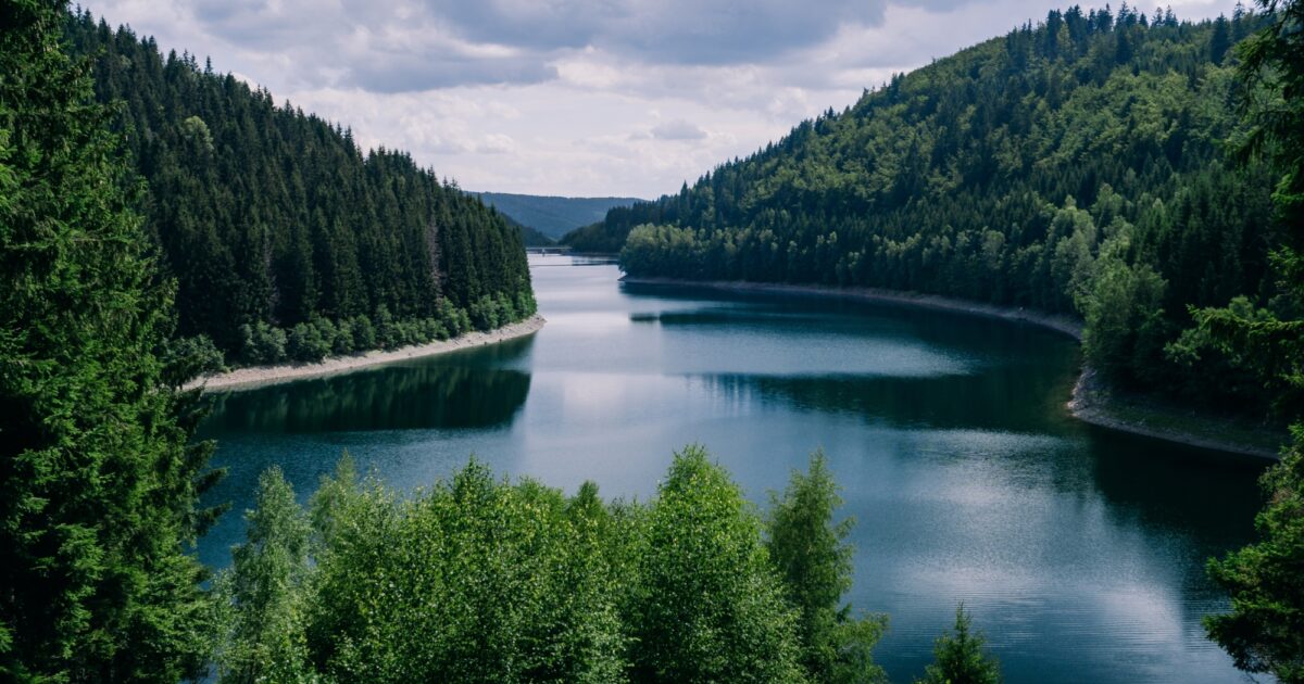 Skalar San++ CFA analyzer for the analysis of nitrogen and… | Skalar